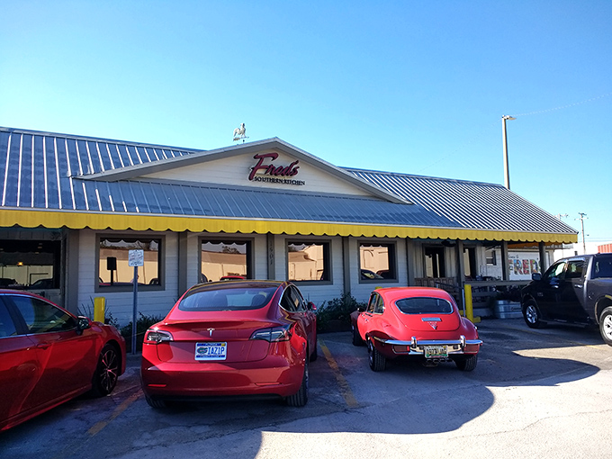Classic cars and classic cooking! Fred's Market serves up Southern comfort with a side of nostalgia. Your diet plan's worst nightmare, your taste buds' best friend. 