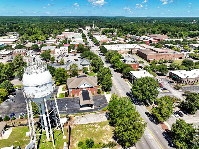 A bird's-eye view of Hartsville reveals its charming downtown nestled among lush greenery.