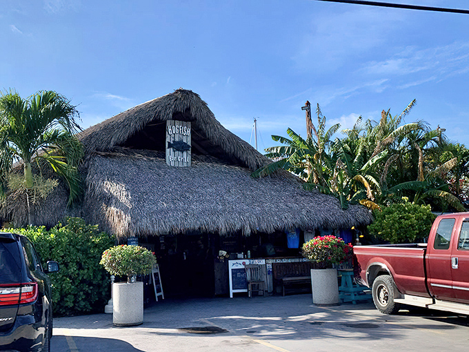 When your restaurant looks this wonderfully ramshackle, you know the food's going to be spectacular.
