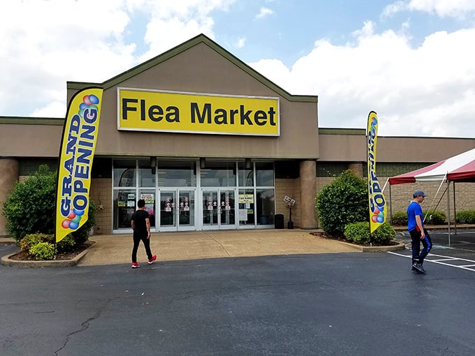 "Grand Opening" flags flutter in the breeze, welcoming bargain hunters to this roadside treasure trove.