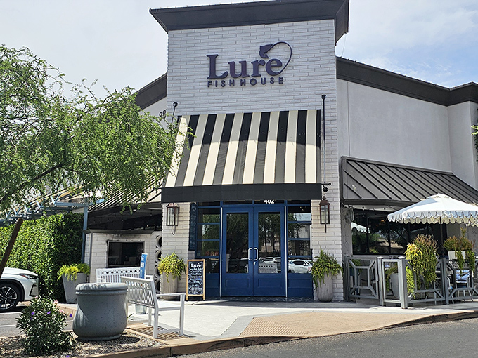 Bright blue doors welcome you to Lure's seafood sanctuary. This sleek Scottsdale spot looks like it was plucked straight from a coastal town.