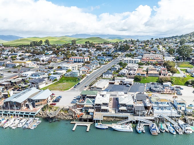 Sea otters to the left, fishing boats to the right &ndash; Morro Bay's harbor scene is California coastal life in a nutshell.