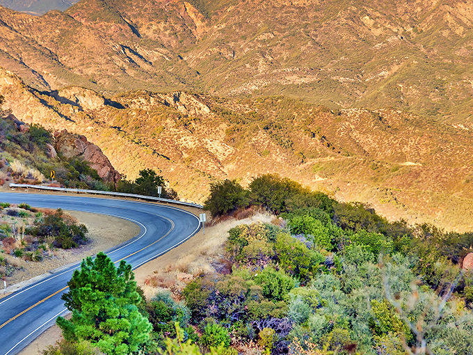 Nature's rollercoaster! The winding ribbon of Mulholland Highway cuts through golden hills that would make any convertible owner giddy with joy.
