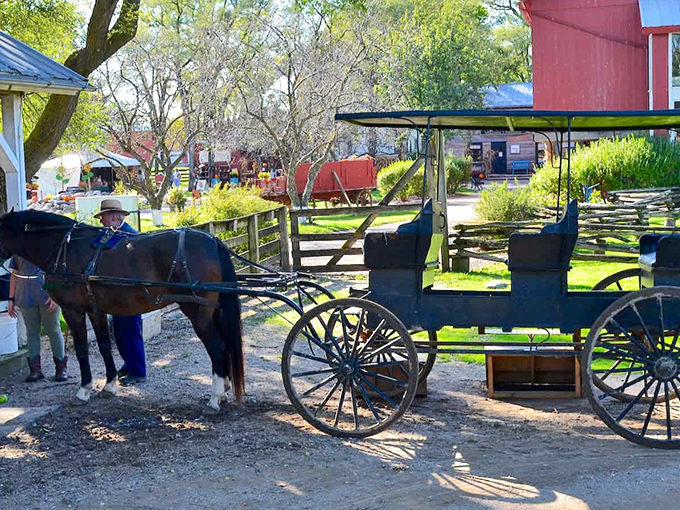 Amish Acres in Nappanee offers a glimpse of living history. This isn't a tourist attraction&mdash;it's Tuesday afternoon transportation for local families.