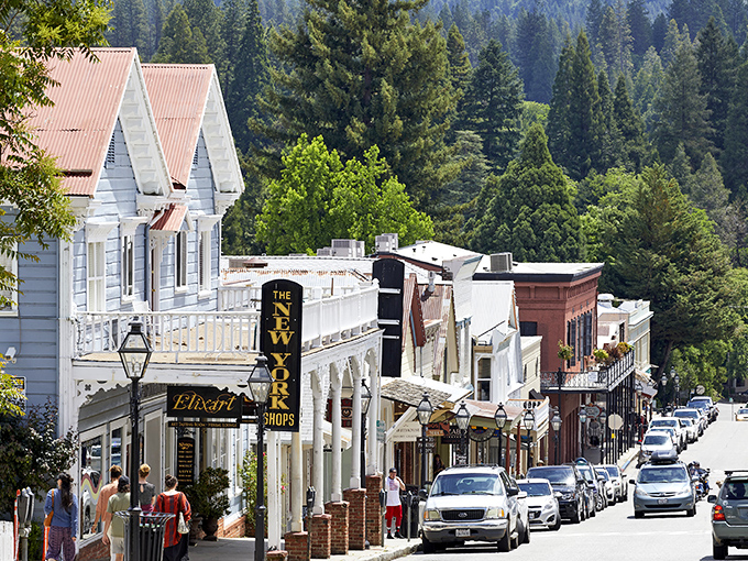 Pine trees stand guard over Nevada City's charming main street, where Victorian facades hide bookshops that smell of old paper and possibility.