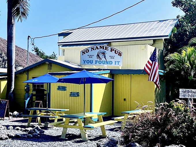 Dollar bills create the ultimate wallpaper, each one a tiny time capsule from visitors who found this hidden gem.