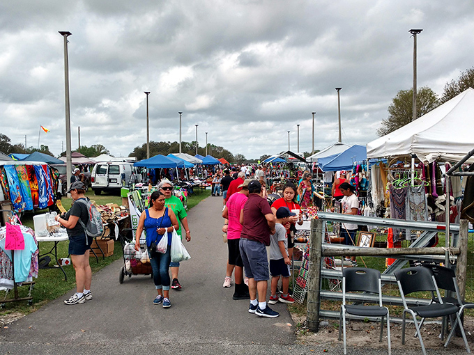 Shoppers stroll through Plant City's open-air aisles, where every table might hold that perfect something you didn't know you needed.