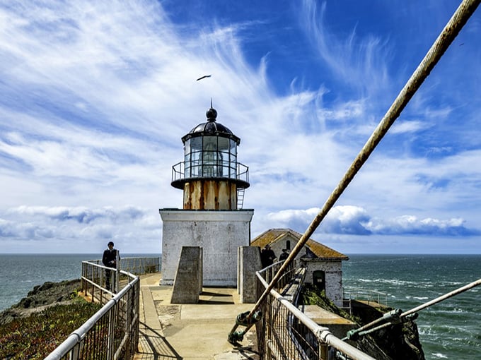 That tiny suspension bridge to Point Bonita? It's nature's way of saying "earn this view" &ndash; and trust me, you'll be glad you did.