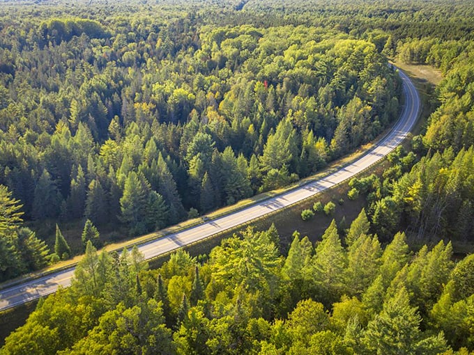 The River Road Scenic Byway whispers stories of lumberjacks and anglers as it hugs the forest's edge.