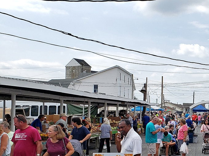 The impressive scale of Roots Market with its organized rows of outdoor vendors. Where shopping becomes an Olympic sport!
