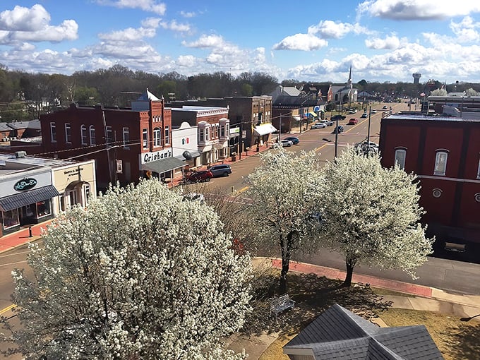 Spring blooms frame Savannah's main street like nature's own welcome mat for this charming Tennessee river town.