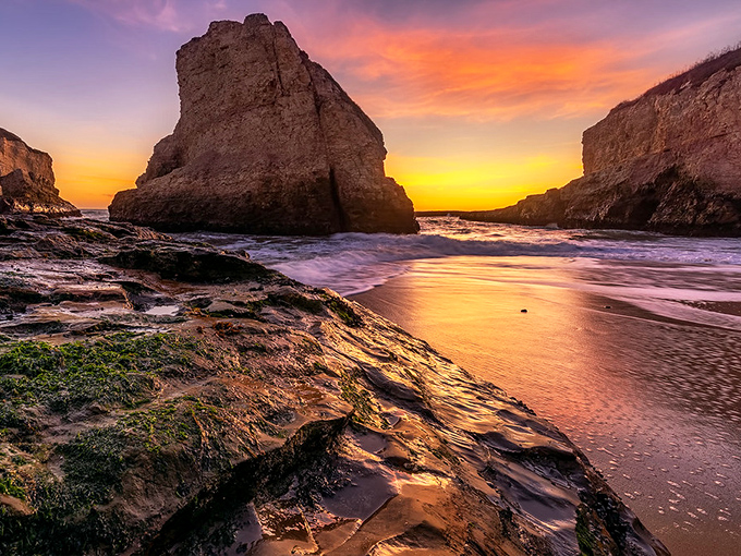 Golden hour at Shark Fin Cove transforms this hidden beach into a scene worthy of National Geographic.