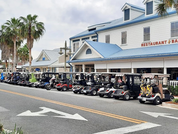 The Villages from above looks like someone designed retirement heaven, complete with lakes, green spaces, and enough activities to fill three lifetimes.