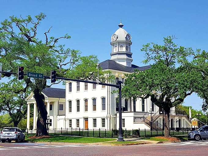 The historic courthouse stands tall in Thomasville, surrounded by oak trees that have witnessed generations of town gossip.