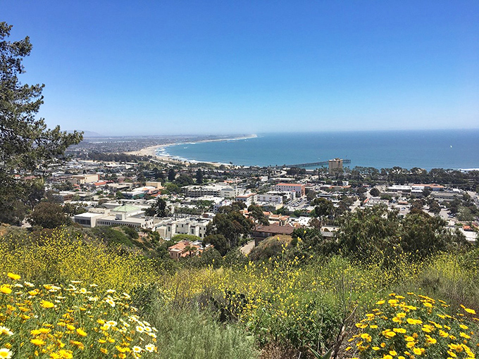 Sun-kissed Ventura blooms with wildflowers and affordable living. Where else can you retire with both beach access and breathing room?