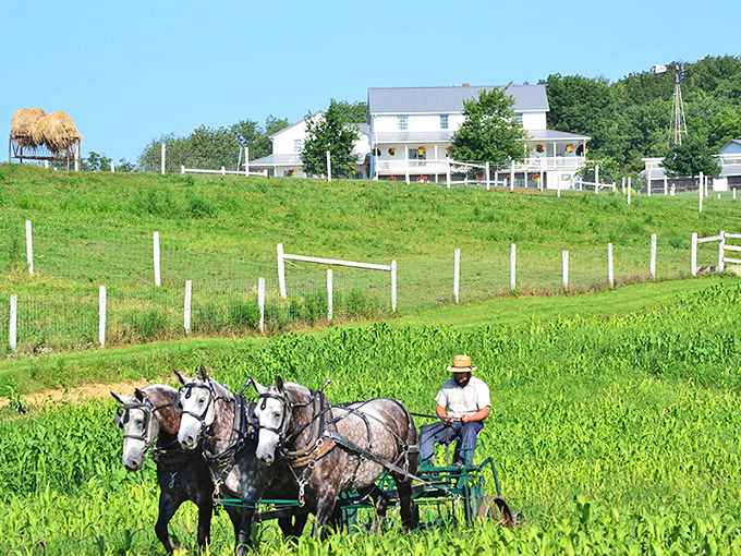 Amish farmland: where Wi-Fi is weak but the connection to what matters is stronger than ever. 