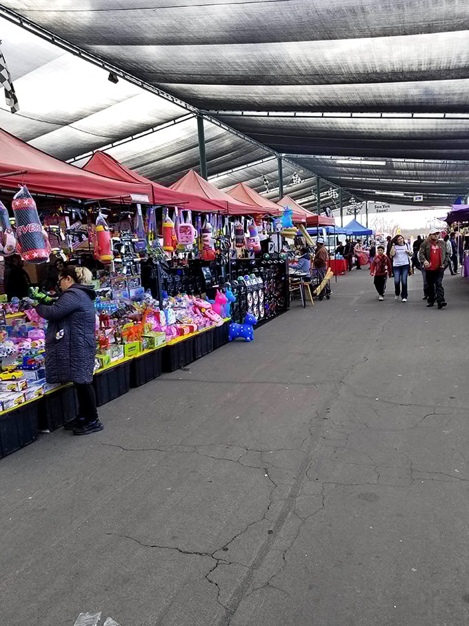 A rainbow explosion of toys that would make Santa's workshop jealous, all under one gloriously shaded pavilion.