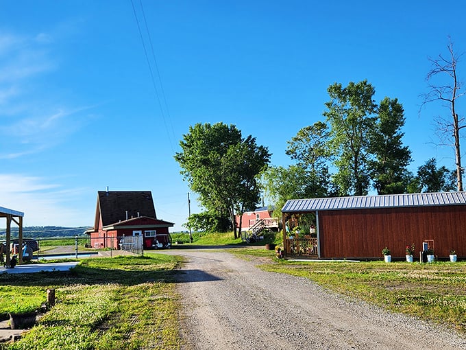 Rural tranquility at its finest&mdash;this countryside retreat offers a peaceful escape where the loudest sound might be a bird greeting the morning.