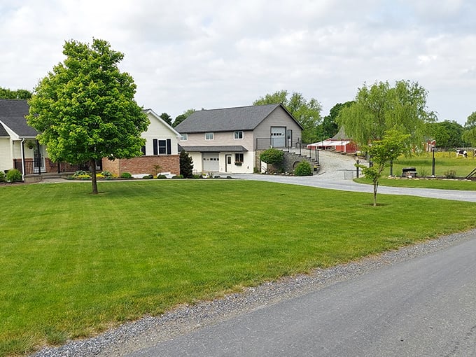 Perfectly manicured lawns and practical architecture&mdash;where modern homes and traditional values coexist in a landscape that refuses to be rushed.