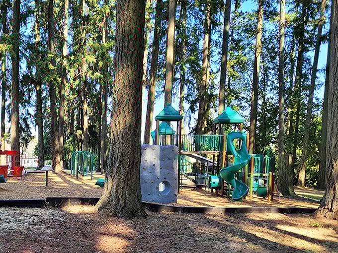 Between antique expeditions, Aurora City Park offers a green respite where towering firs stand guard over playground adventures.