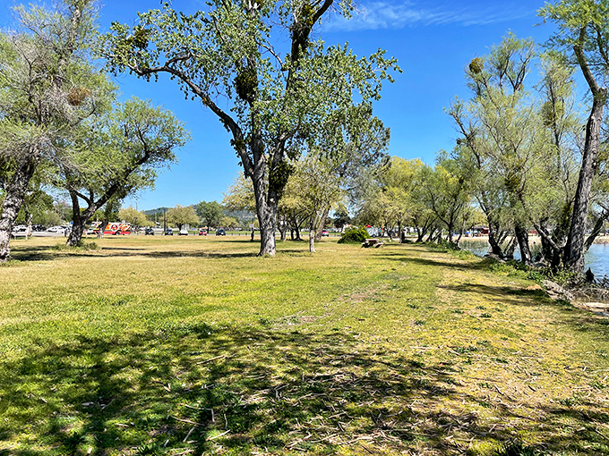 Austin Park offers the kind of simple pleasures we all need more of&mdash;shade trees, green grass, and water that beckons on hot summer days.