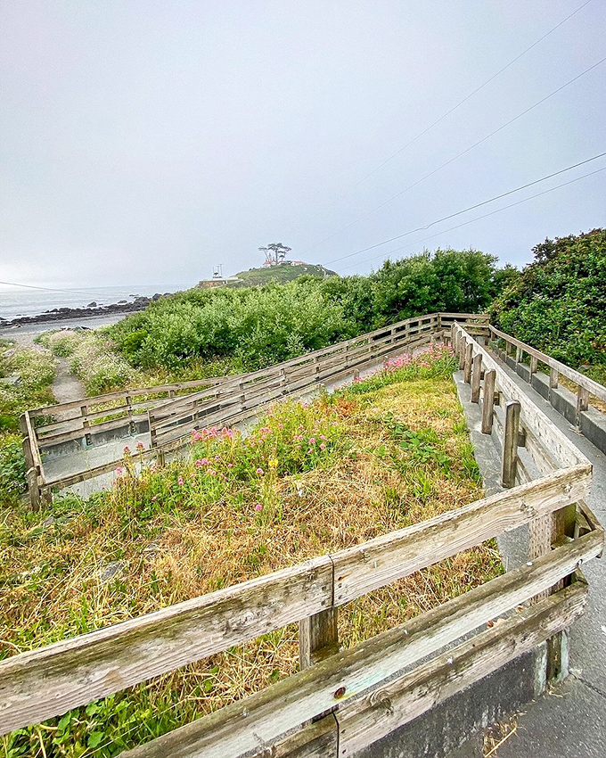 Nature's perfect framing device&mdash;this wooden boardwalk leads your eye straight to the prize waiting on the horizon.