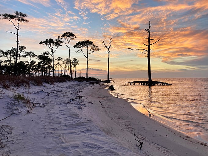 Mother Nature showing off at sunset, painting the sky in hues that would make even Monet say, "Now that's a bit much."