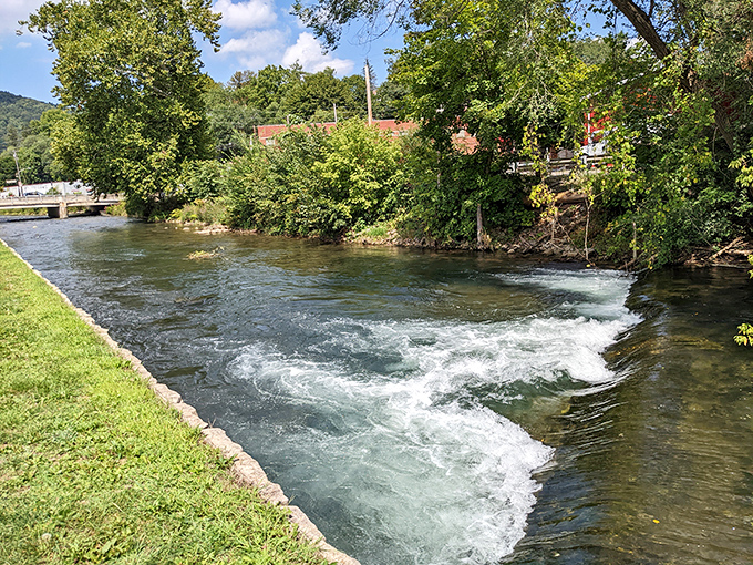 Spring Creek doesn't just flow through Bellefonte&mdash;it performs. Nature's version of Broadway, complete with rushing water choreography.