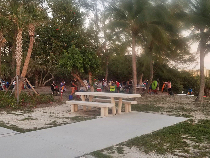 Picnic paradise awaits under the palms. The perfect spot to refuel between swimming sessions and shell hunting expeditions.