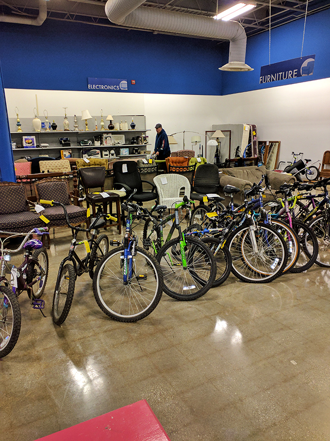 Bicycle heaven or time-travel portal? Rows of two-wheeled freedom machines await new adventures, from leisurely neighborhood cruises to epic comeback stories.
