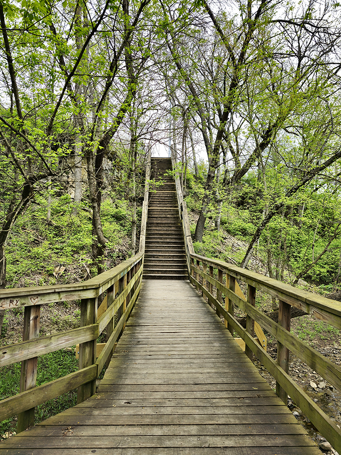 The stairway to serenity! This wooden boardwalk invites visitors down into the gorge, each step taking you further from civilization and closer to nature's symphony.
