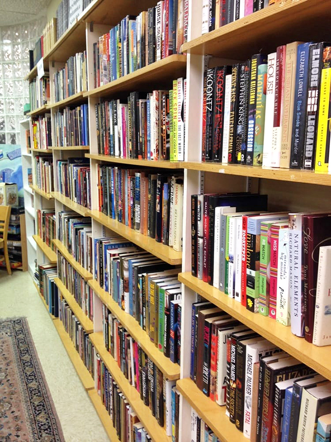 A bibliophile's dream come true &ndash; shelves where literary classics mingle with forgotten bestsellers, all waiting for their next chapter. 