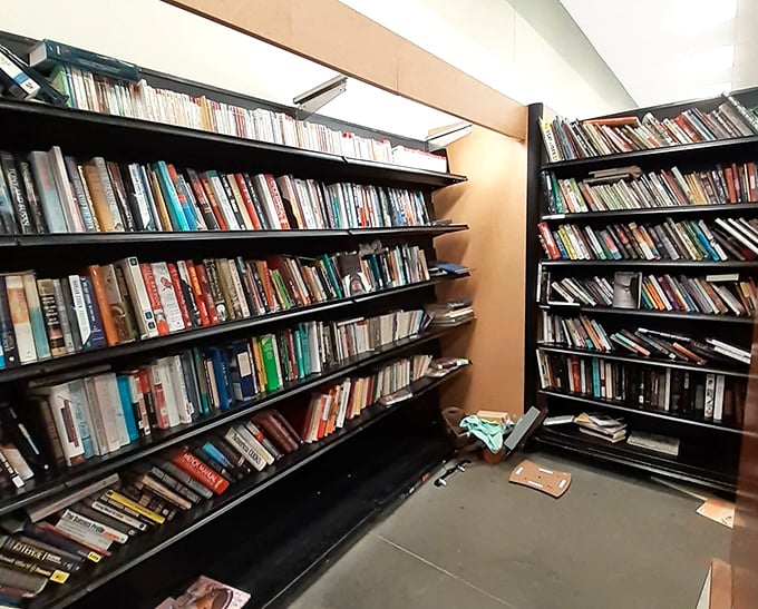 Literary treasures await between these shelves, where yesterday's bestsellers find new homes and forgotten classics resurface.