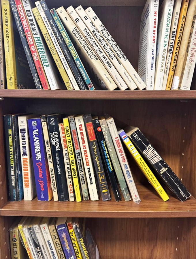 A bibliophile's dream come true! These vintage books aren't just reading material; they're time machines waiting to transport you back to simpler days.