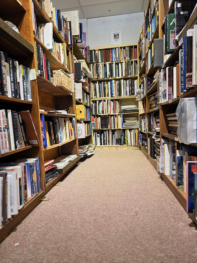 Getting lost in these literary canyons is half the fun. Thousands of volumes wait patiently for someone to discover their forgotten stories.