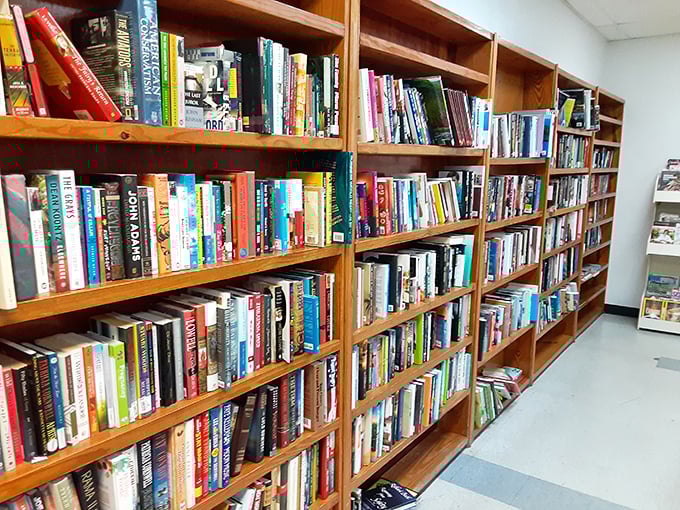 A bibliophile's dream come true &ndash; shelves packed with literary adventures waiting to be rediscovered for less than the price of a latte.