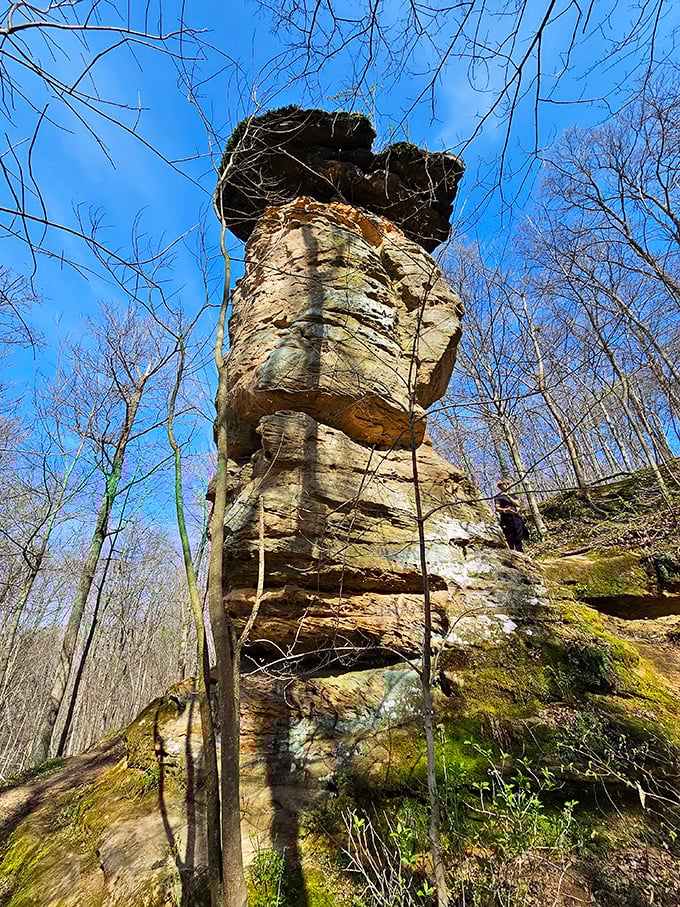 Looking up at geological royalty. From this angle, you can almost hear Jug Rock saying, "Yes, I've been standing like this for 300 million years. No big deal."