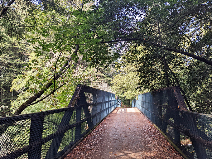 This bridge doesn't just connect two sides of the park&mdash;it's a portal to tranquility, framed by a canopy that puts most wedding venues to shame.
