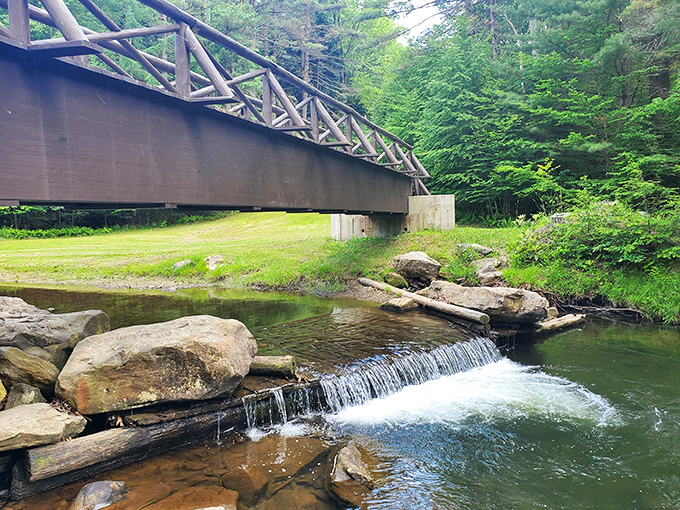 This bridge isn't just crossing water&mdash;it's connecting you to the wilderness experience your smartphone-weary soul has been craving.