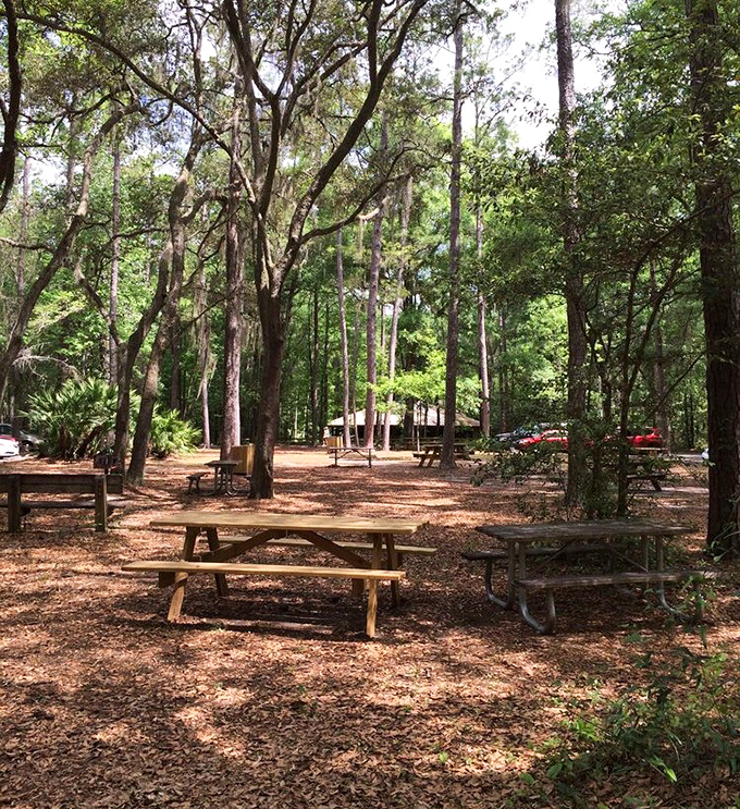 These picnic tables aren't just lunch spots – they're front-row seats to contemplate how you'll tackle those 232 stairs on a full stomach.