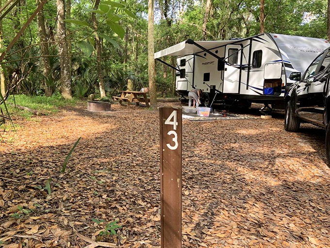 Campsite #43: Where your morning coffee comes with a soundtrack of birdsong and your evening s'mores taste better under a canopy of stars.