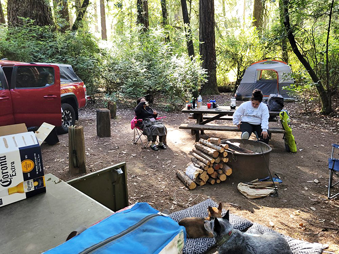 Camping among giants turns your morning coffee ritual into a humbling experience. That tent might be small, but the memories will be enormous.