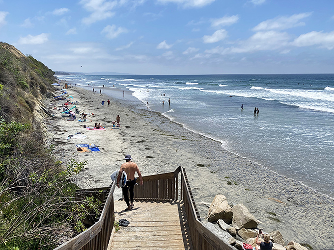 At Cardiff State Beach, nature puts on a daily show that beats anything on Netflix – and there's never a buffering issue.
