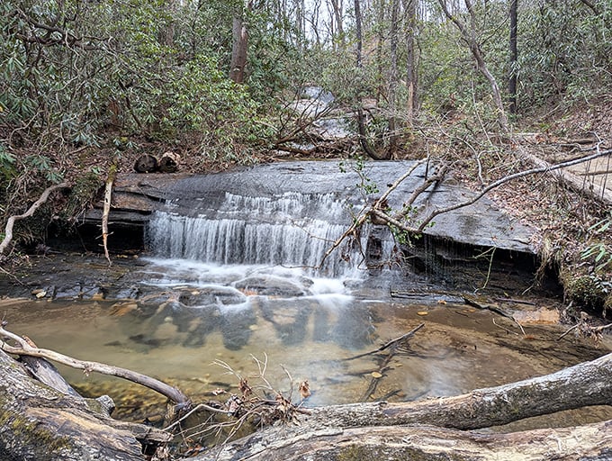 Not all classroom walls have chalkboards. This gentle cascade along Carrick Creek Trail teaches lessons in tranquility no textbook could match.k trail