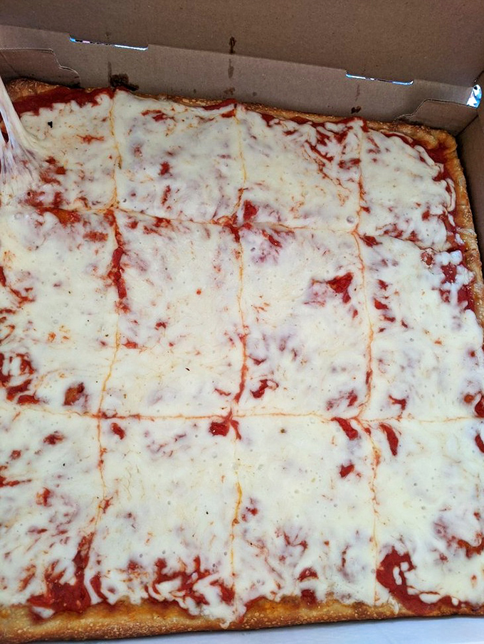 Square-cut perfection that would make geometry teachers weep with joy &ndash; this is cheese pizza's final form.
