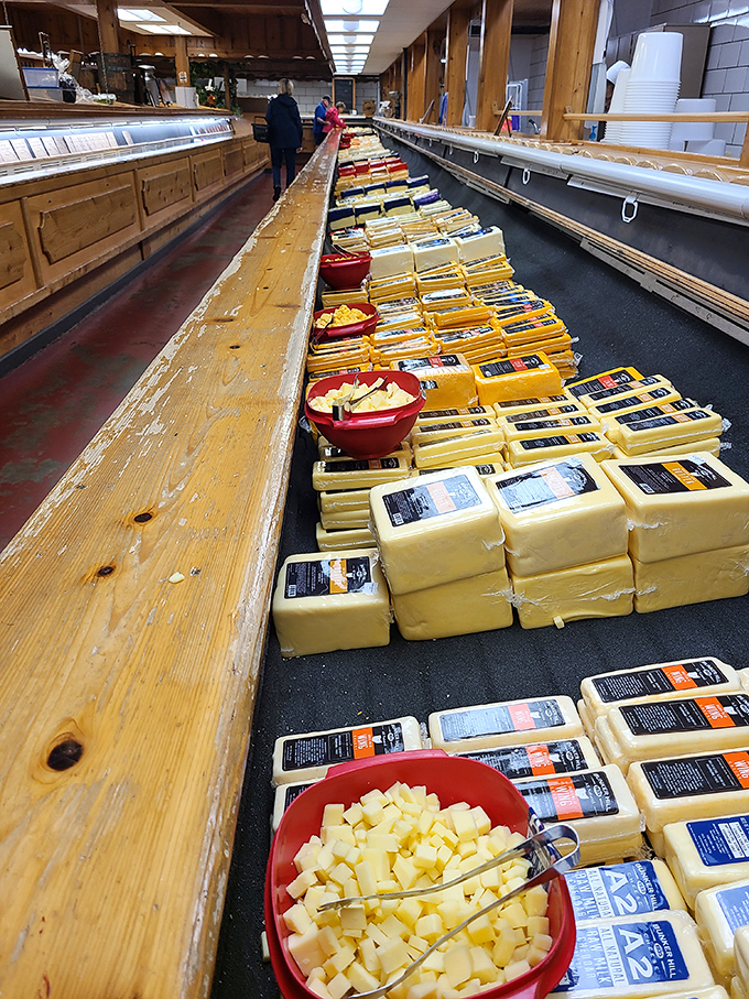 The holy grail of dairy experiences&mdash;a sampling counter where tiny cheese cubes become life-changing decisions. Diet plans come here to die gloriously.