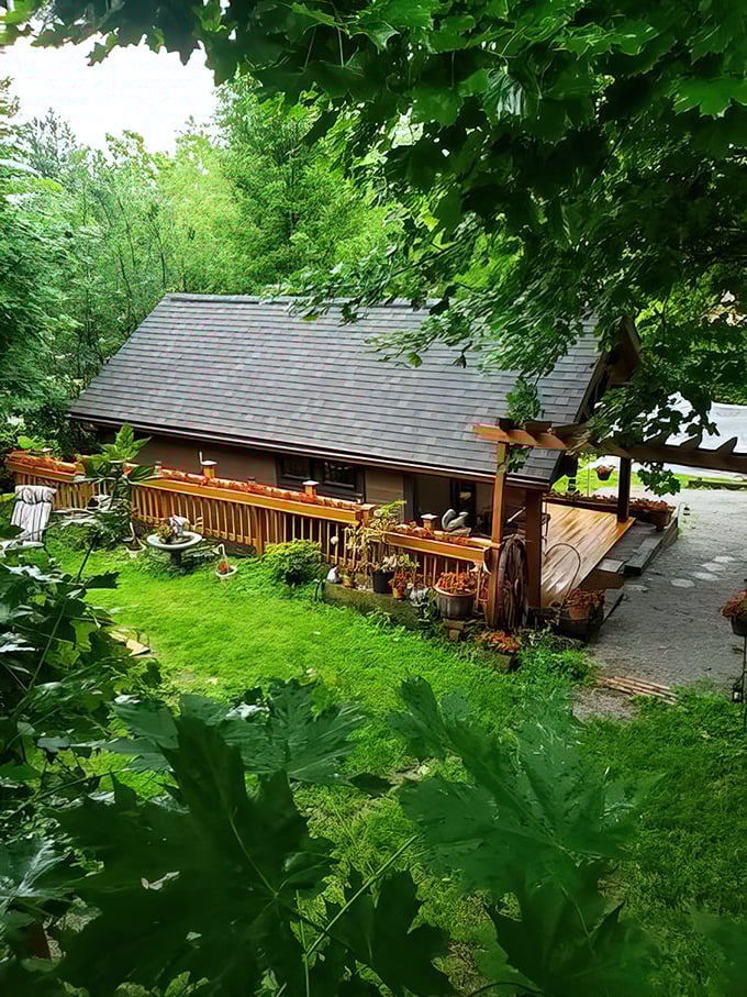 Tucked among the trees, this cozy retreat whispers "slow down" louder than any meditation app.