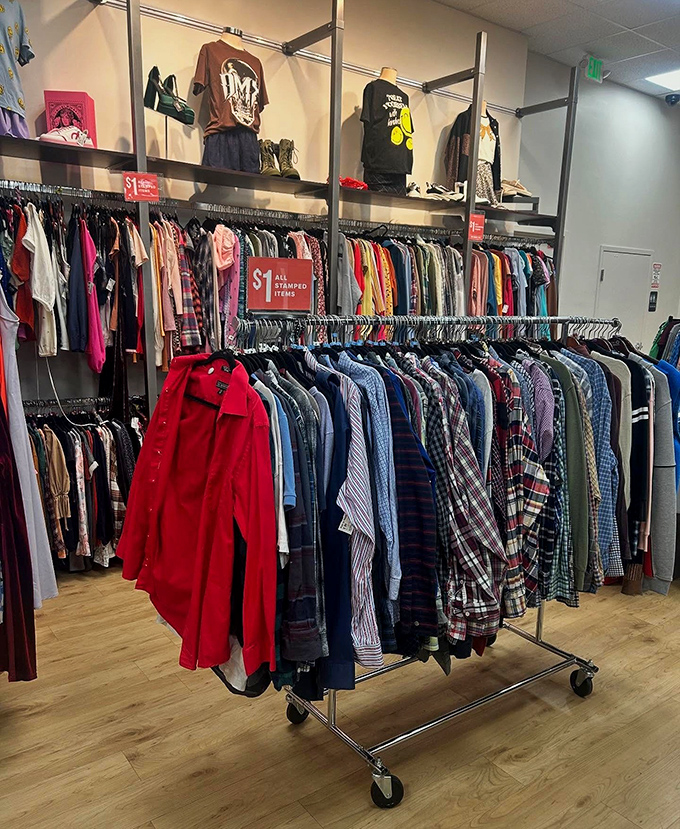 Color-coded perfection that would make Marie Kondo weep tears of organizational joy.