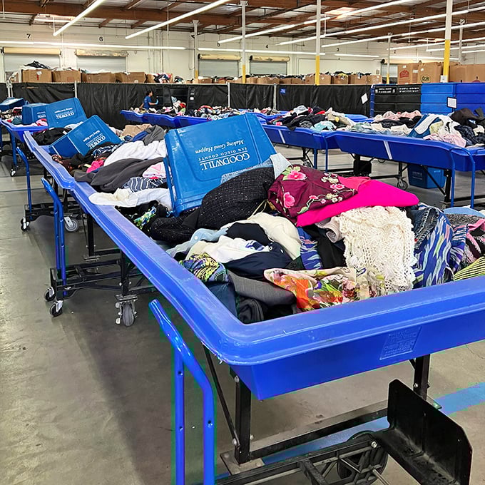 Mountains of clothing await discovery, like archaeological digs where designer labels hide among everyday threads.