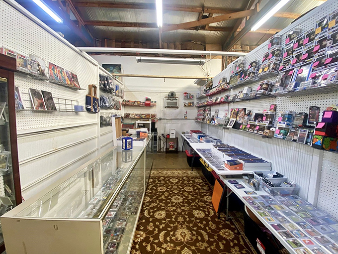 Step into this collector's paradise where glass cases protect treasures and carpet underfoot adds unexpected elegance to the hunt.